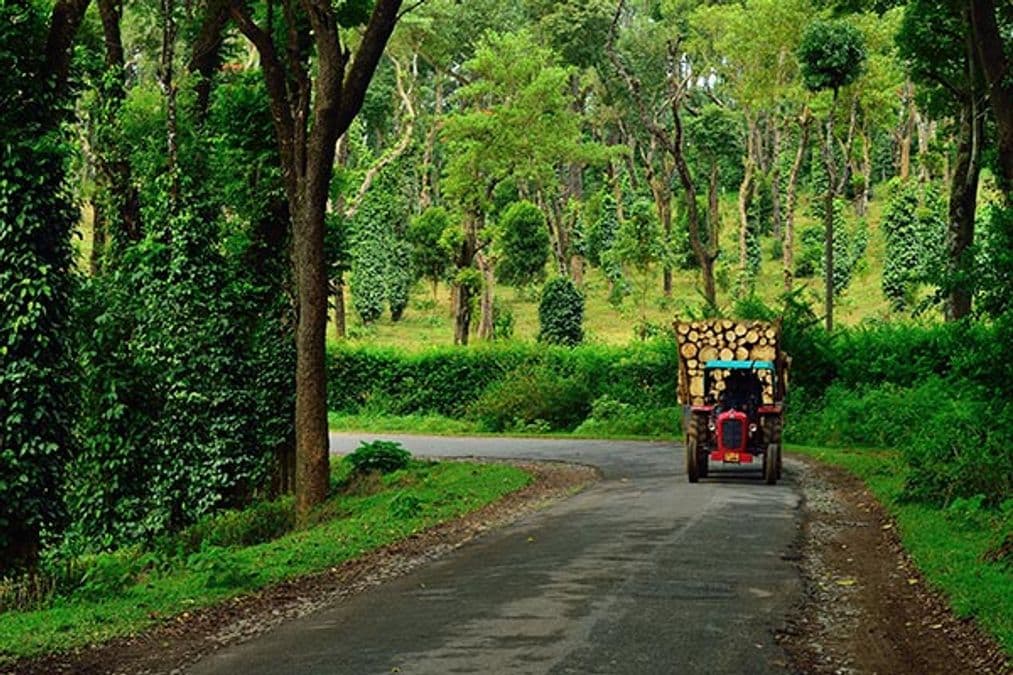 Coorg Trip From Bangalore – Weekend Getaway Guide | Stay At Amritara ...